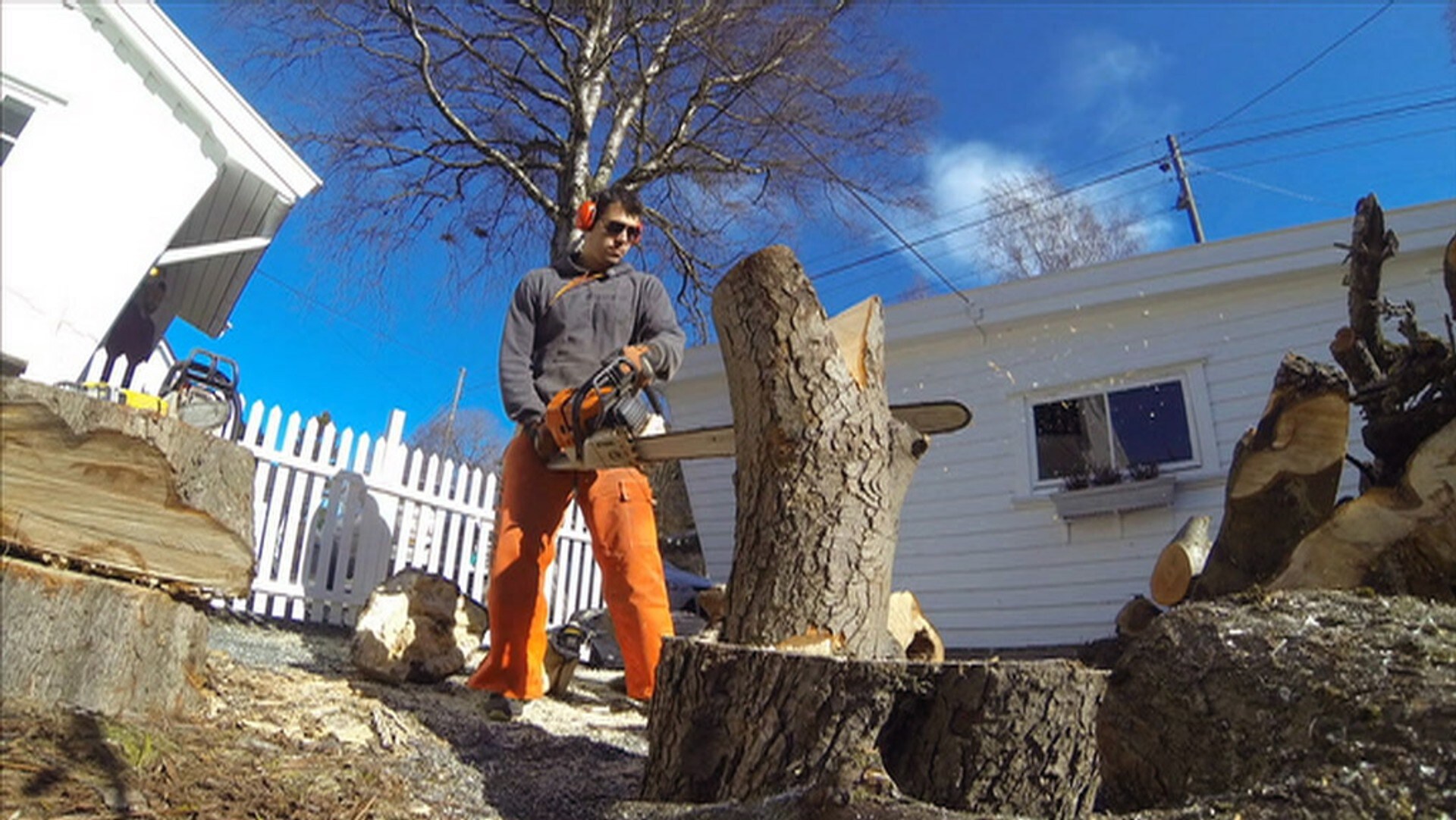 Isfugl timelapse – NRK