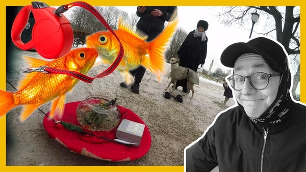 NRK Super - 2. Dyrevenn X: Kan man lufte en gullfisk?