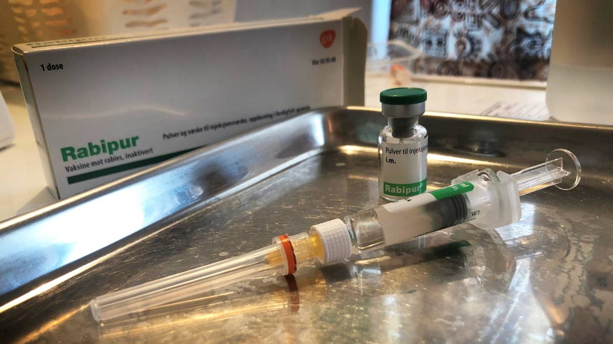Nedringt av rabiesspørsmål etter dødsfall – NRK Norge – Oversikt over ...