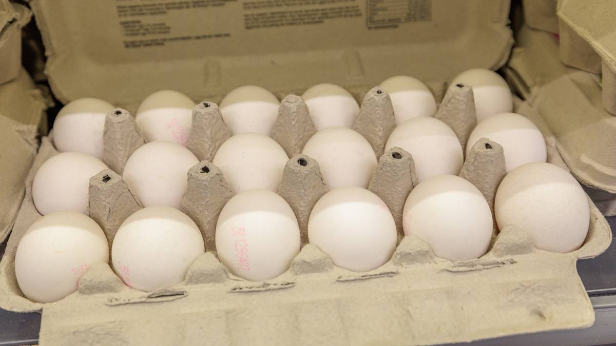 Tollfritaket på egg utvides til før jul – Siste nytt – NRK