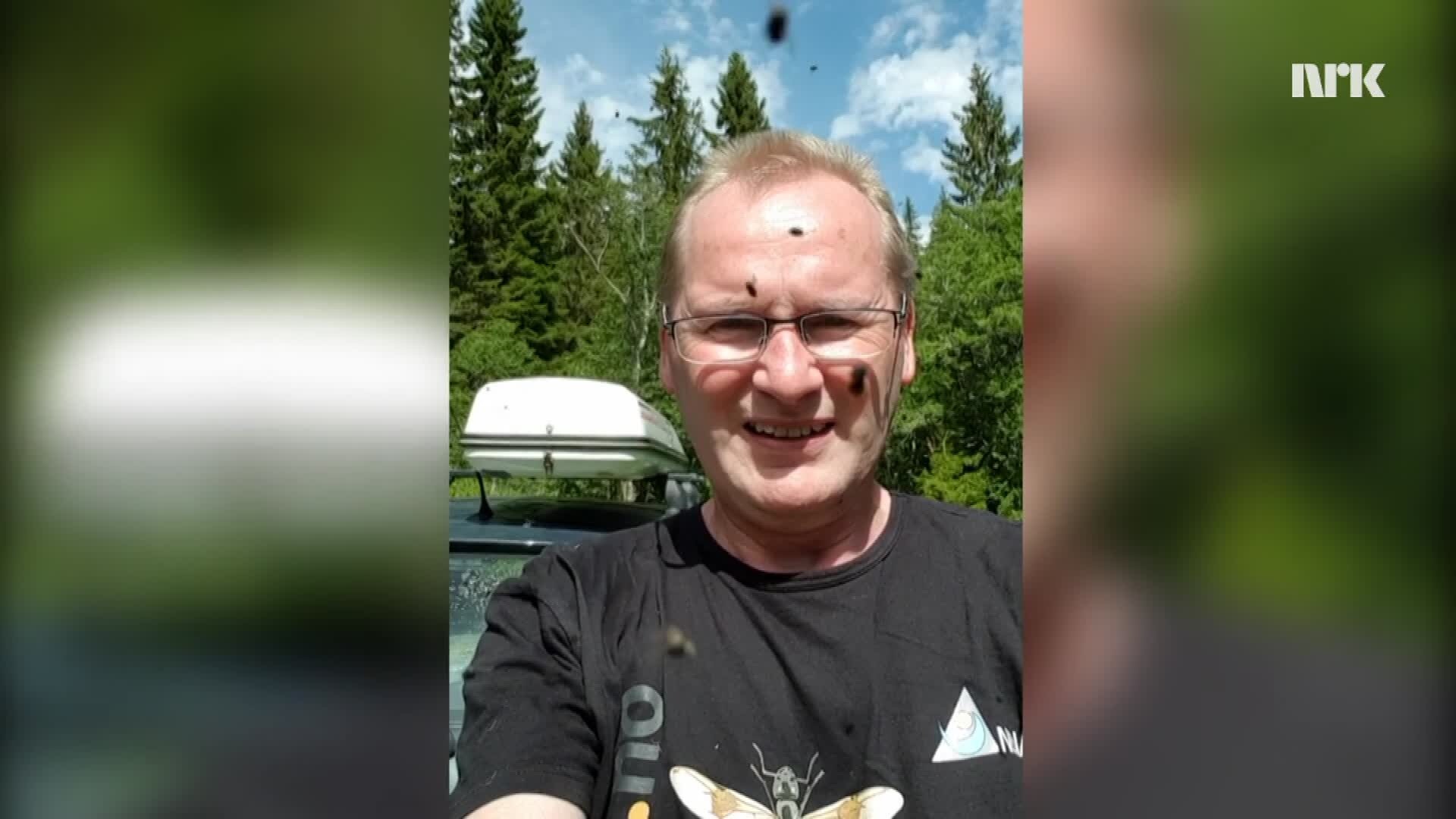 Entomolog Oddvar Hansen møter flere insekter enn han er vant til – NRK