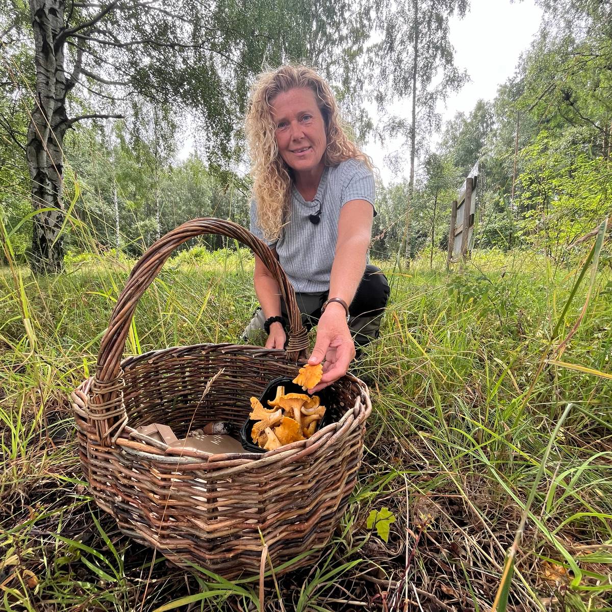Soppen kommer ekstra tidlig i år og før soppkontrollene er i gang – NRK ...
