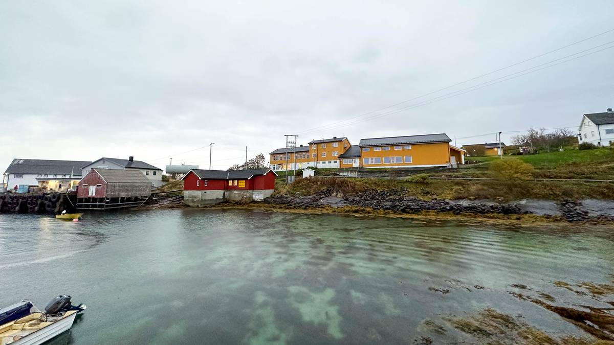 Syv søkere til Helligvær – NRK Nordland