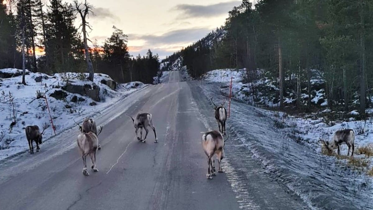 Politikere i Saltdalen i Saltdal i Nordland vil ikke ha salt på veiene ...