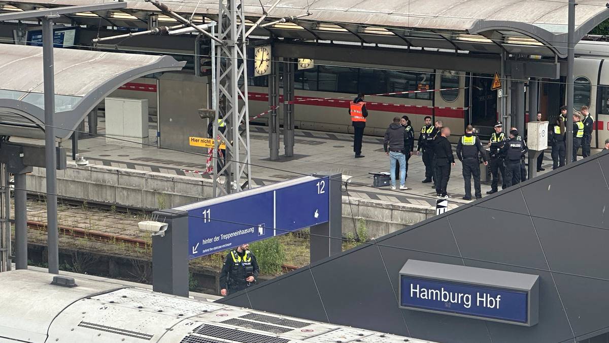 12 personer ble skadet i knivangrep på togstasjon i Hamburg – Siste ...
