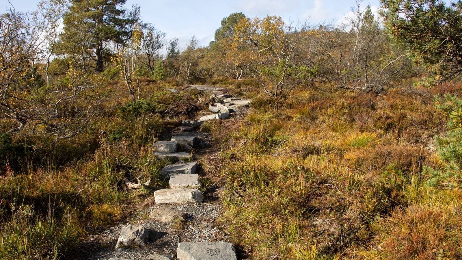 Kanalisering og tilrettelegging av natur og friluftsliv har fordelar og ...