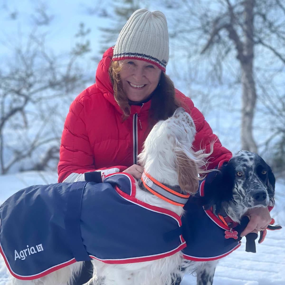 Hund og skabb – dette bør du gjøre om din firbeinte venn får det – NRK ...