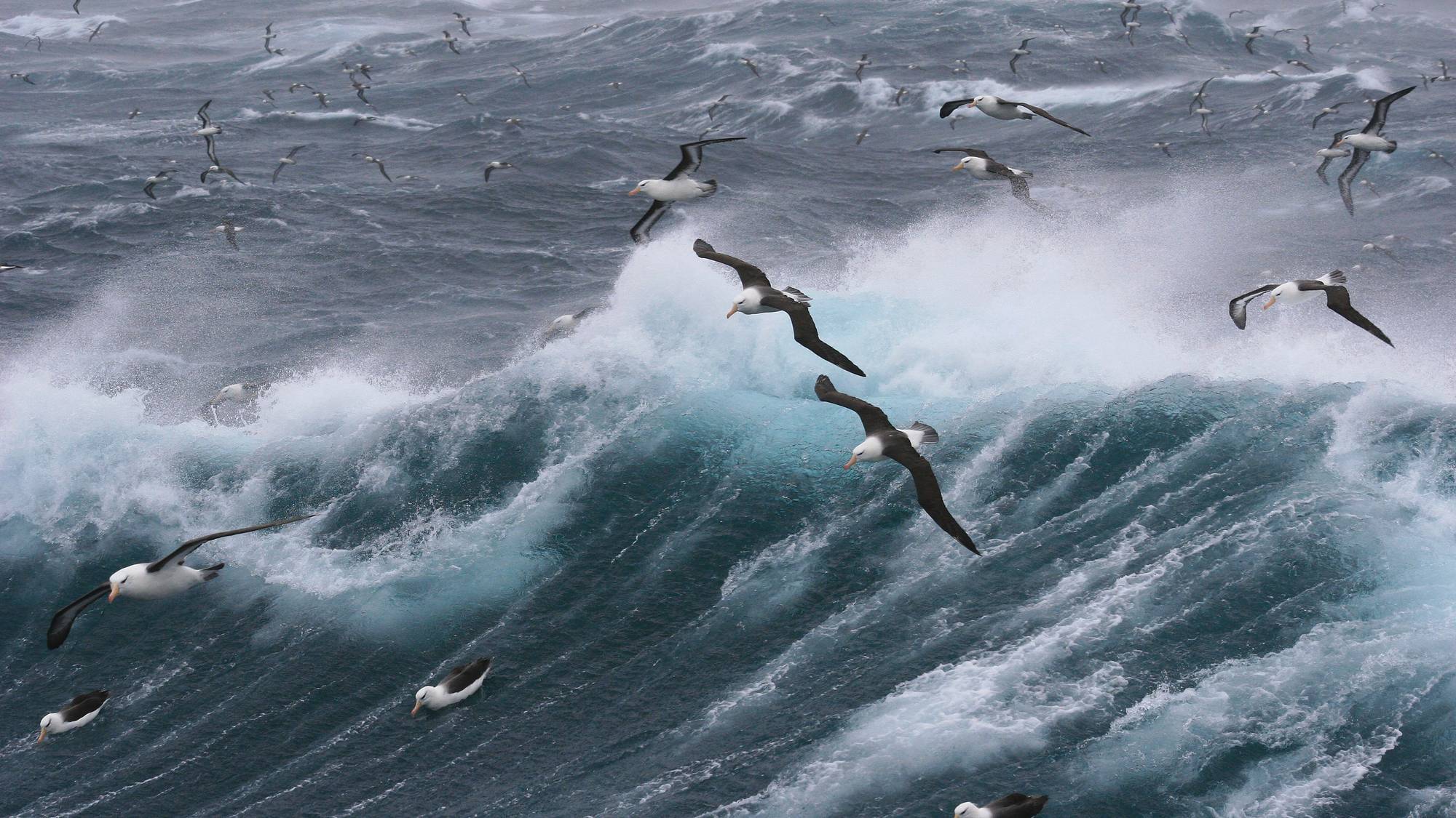 Romfart: Hvordan komme til andre solsystem? Kanskje fly som en ...