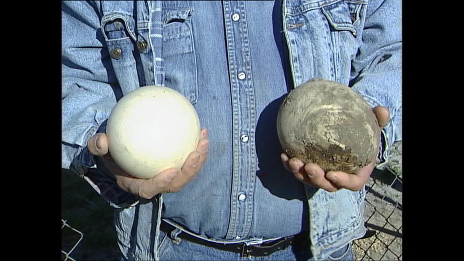 RETRO: Strutseegg blir omelett – NRK