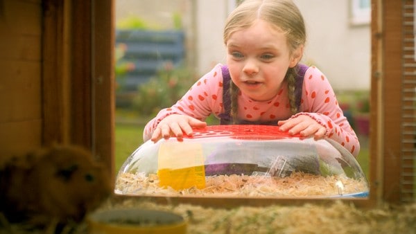 NRK Super - Olga da Polga