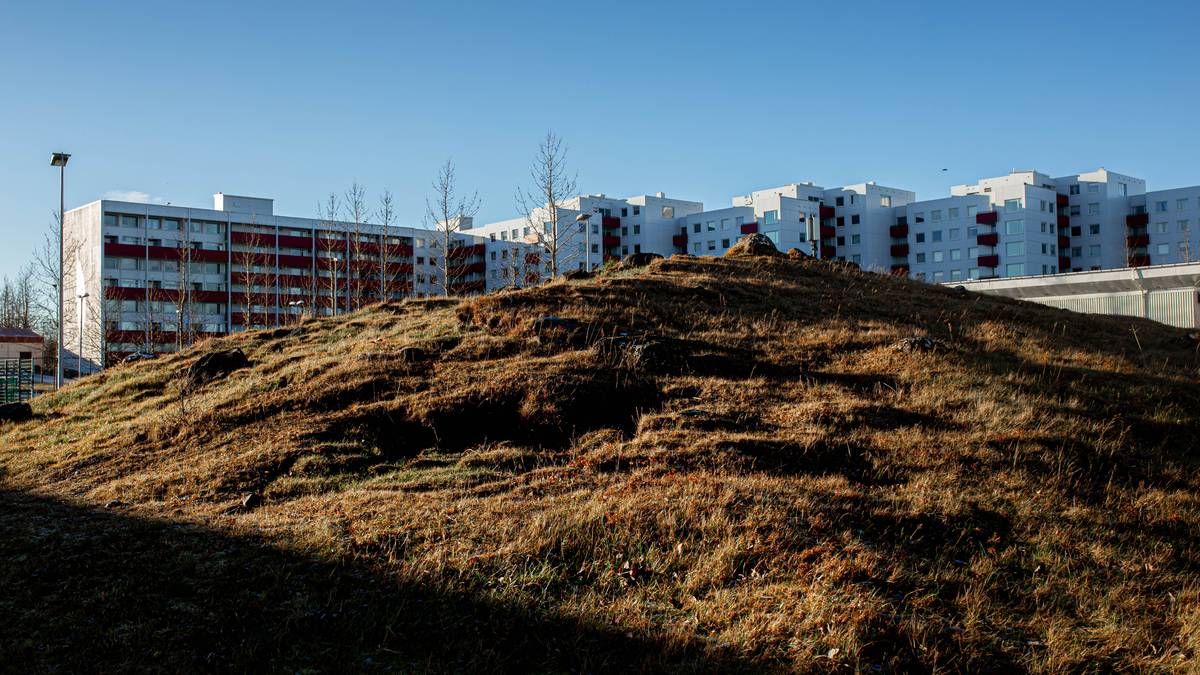 På Island tror folk på alver – Kultur