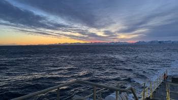 Silda gyt rekordlangt nord mellom Røst og Senja melder ...