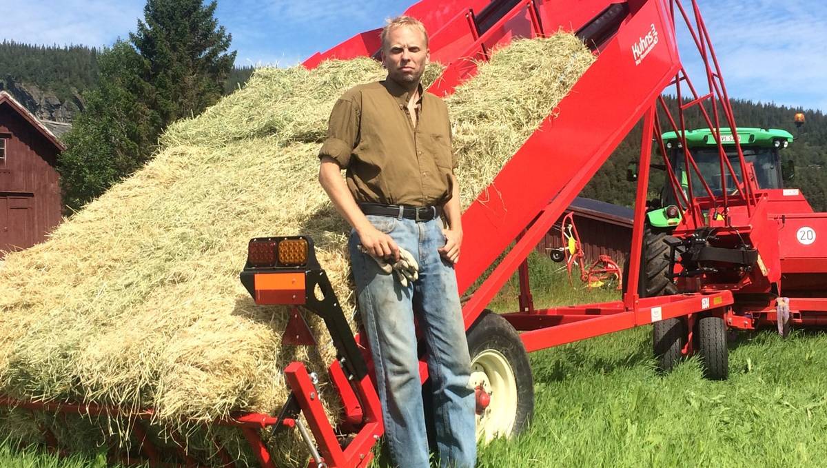 Trassar åtvaring om smittefare – vil importere store mengder høy frå ...