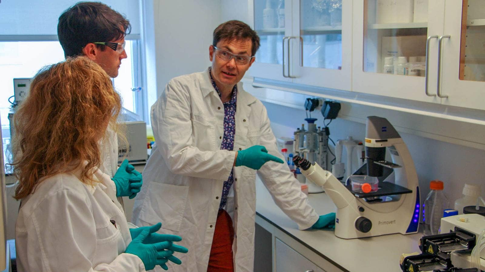 Forskere fant molekyl som kan reparere DNA og utvikle medisin mot ...