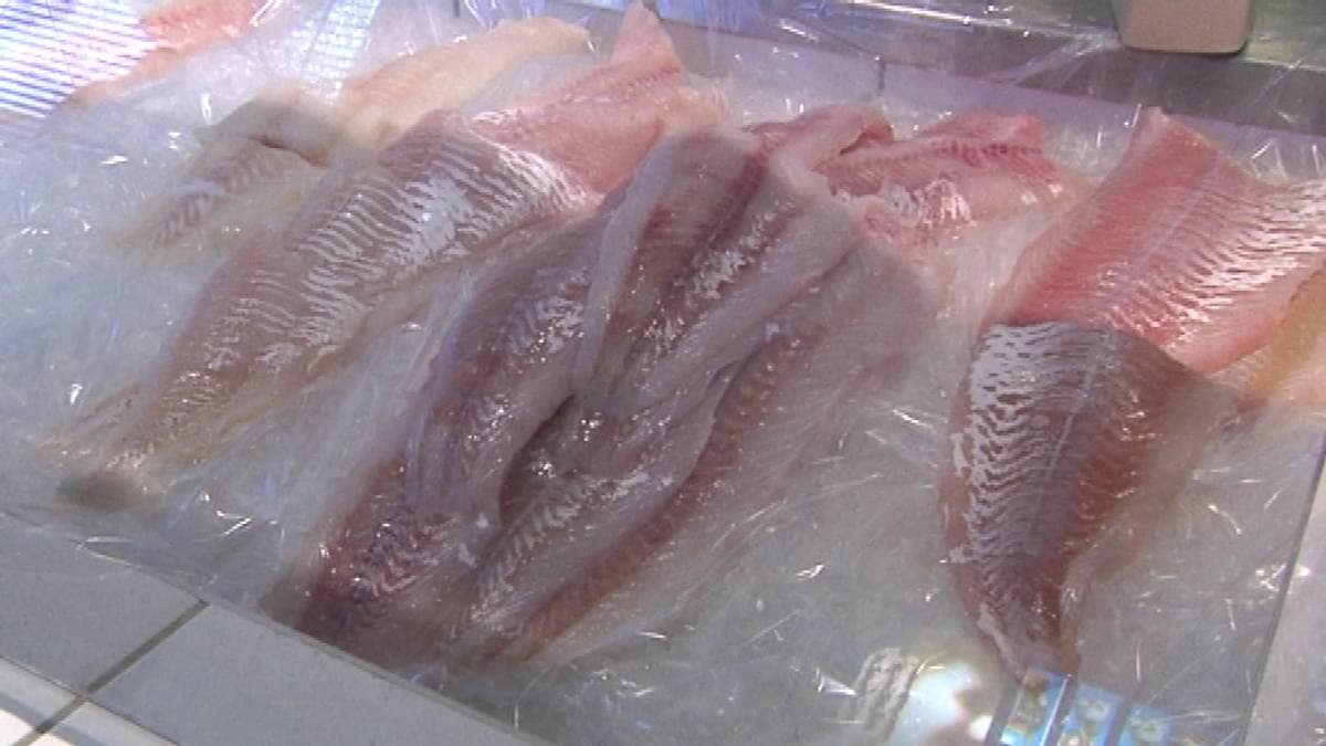 Selger fortsatt fisk i Langesund – NRK Vestfold og Telemark – Lokale ...