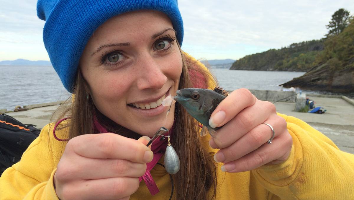 Newton – Programomtaler