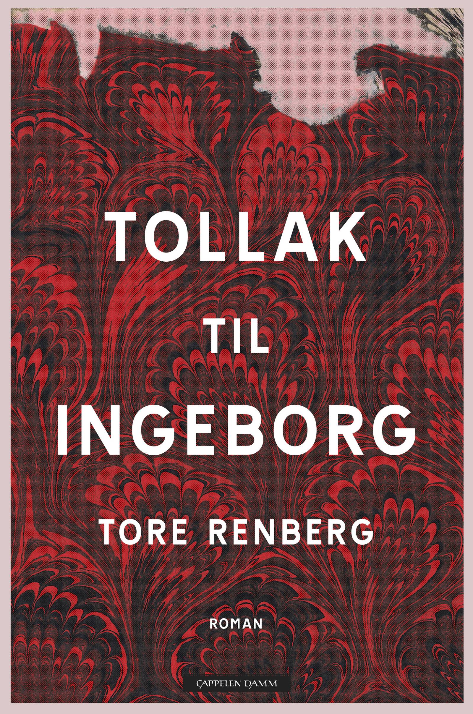 Anmeldelse: «Tollak til Ingeborg» av Tore Renberg – Anmeldelser og ...