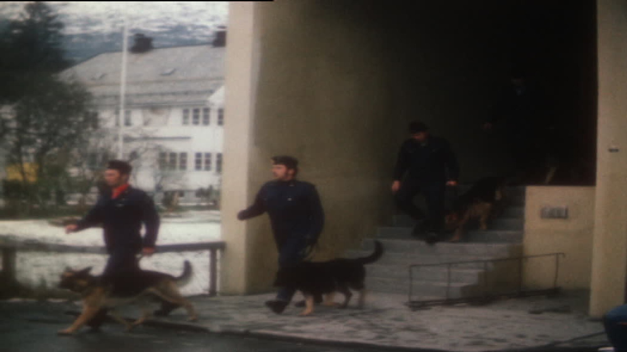 Døden kom i ein Taunus 12M - historia om ein seriedrapsmann – Norge