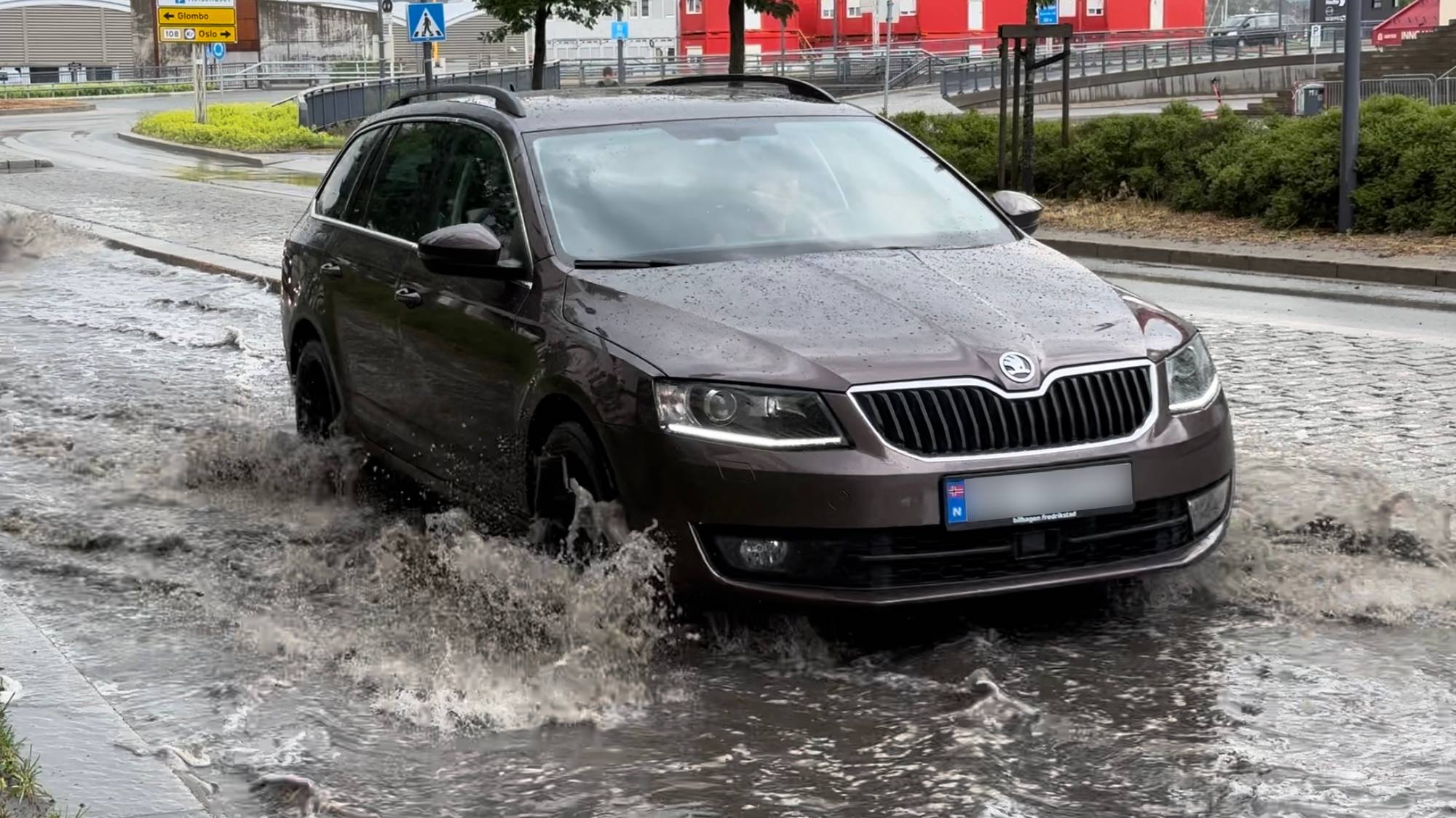 Hattifnatter samlet på høstfjellet – Yr