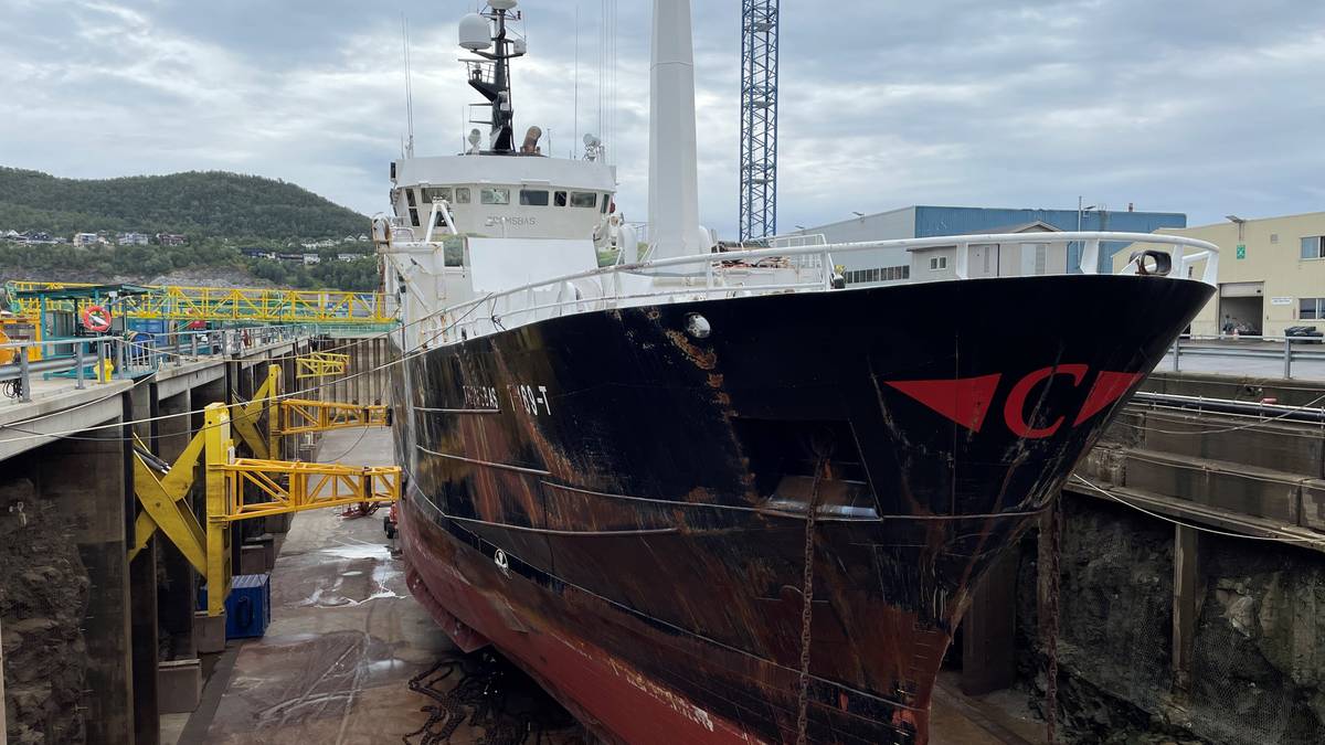 Regjeringen med stor kontrakt til Hamek – NRK Troms og Finnmark