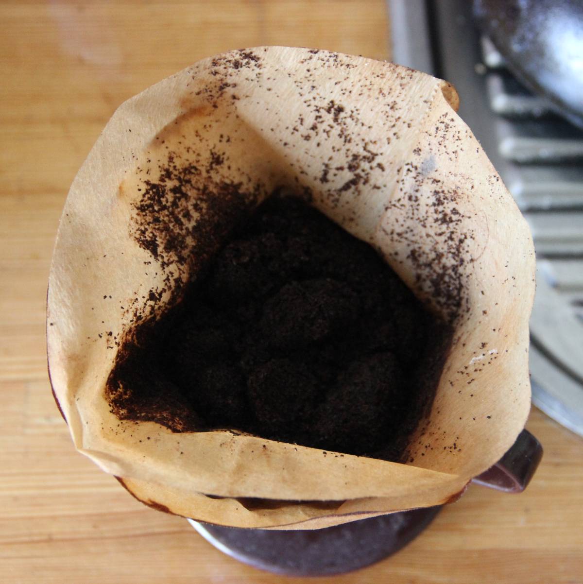 Slik dyrker du sopp i kaffegruten – NRK Vestfold og Telemark – Lokale ...