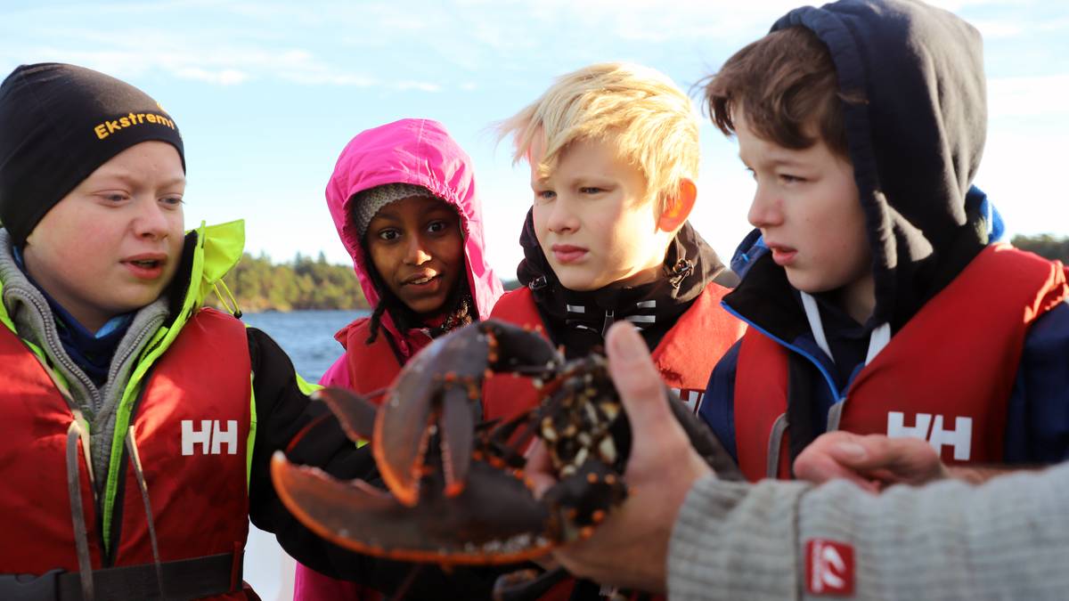 Uteklasserom hjelper elevane med motivasjonen – NRK Vestland