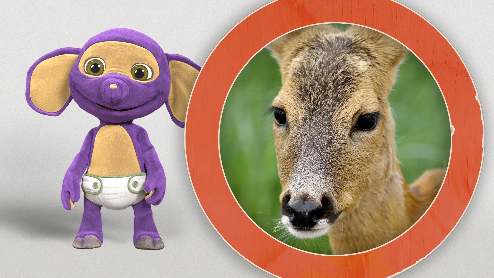 Fantus og dyra - NRK TV