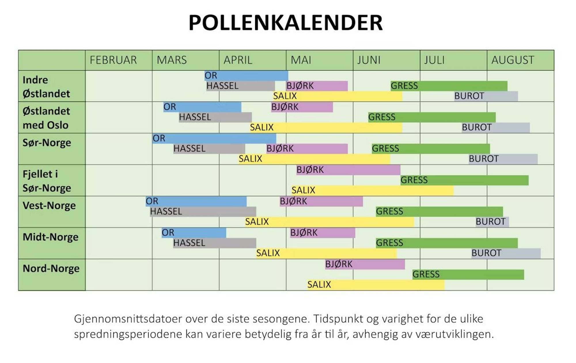 Pollenallergi kan gi plager og mindre kapasitet, men det finnes råd ...