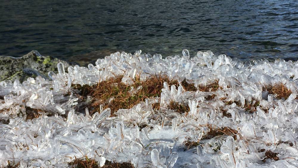 Hattifnatter samlet på høstfjellet – Yr