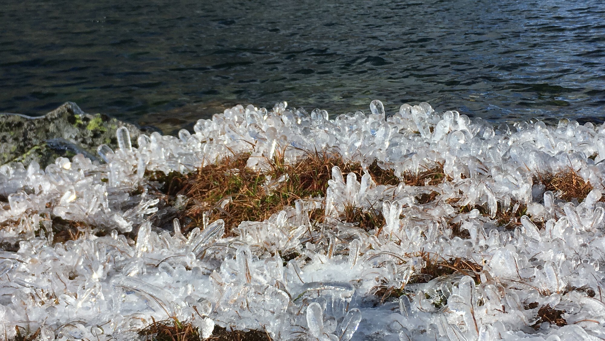 Hattifnatter samlet på høstfjellet – Yr
