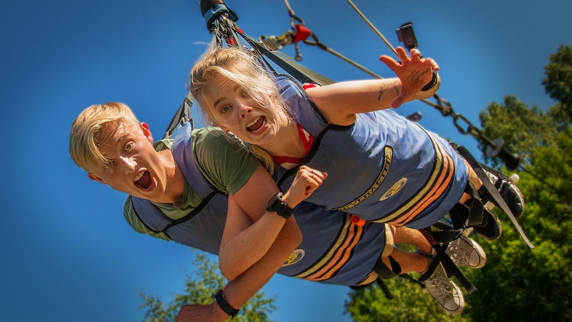 Newton arkiv - NRK TV