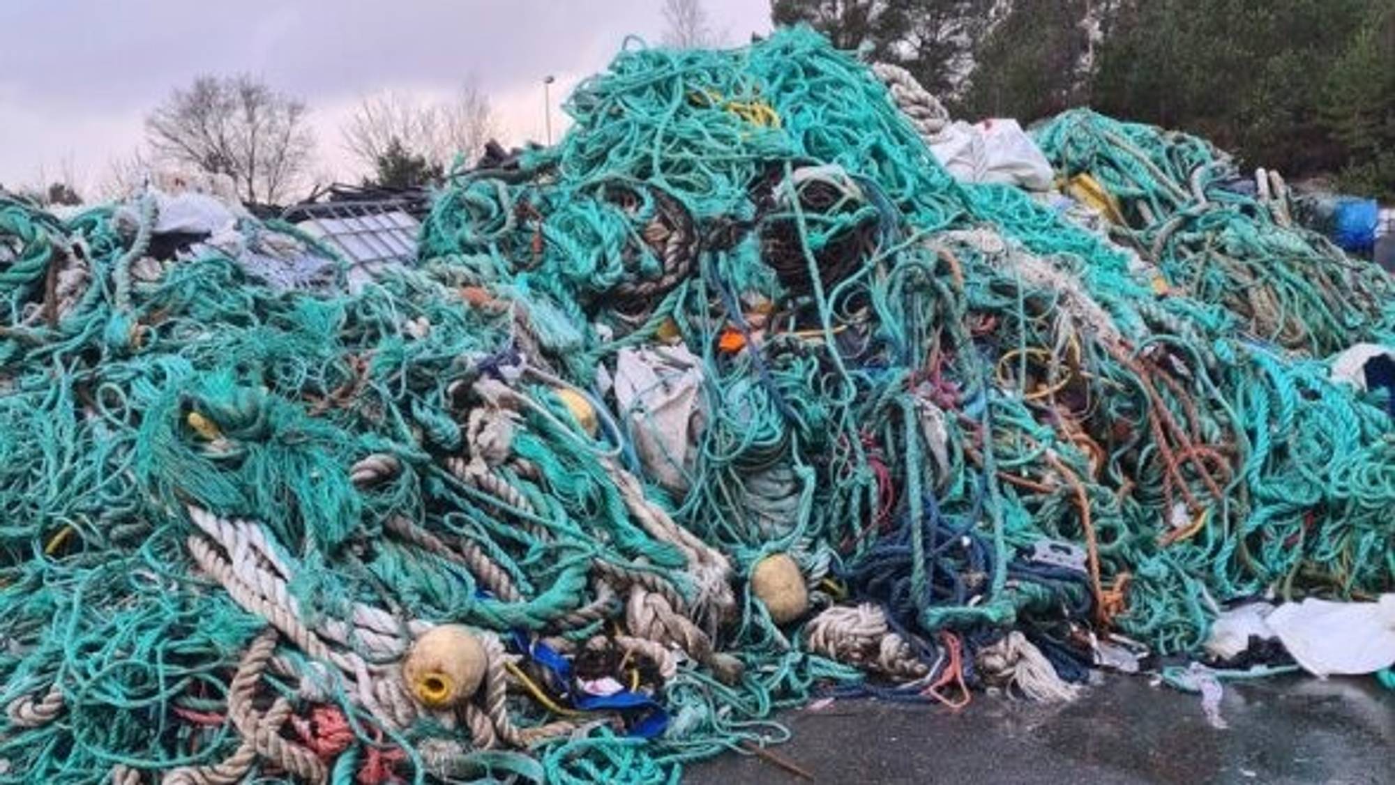 Åtte av elleve kontrollerte selskap dreiv ulovleg eksport av ...