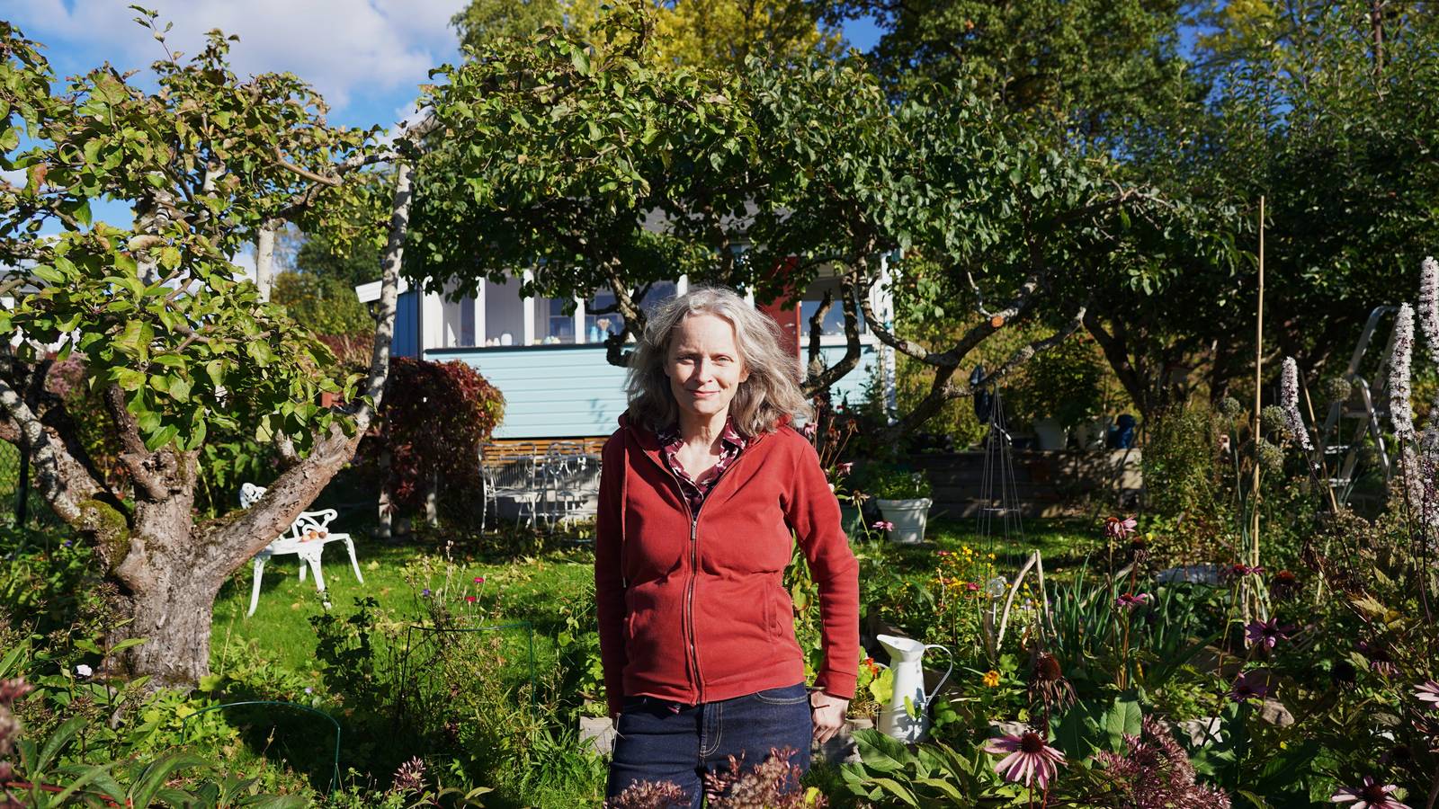 Forsker: Typisk norsk å ville eie hytte alene – NRK Norge – Oversikt ...