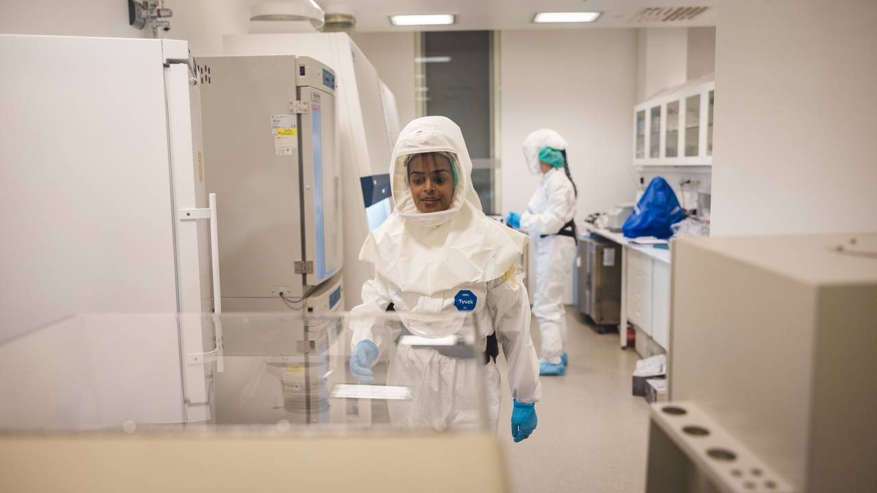 Dette kan vi lære av pesten svartedauden i 1349 – Langlesing fra NRK ...