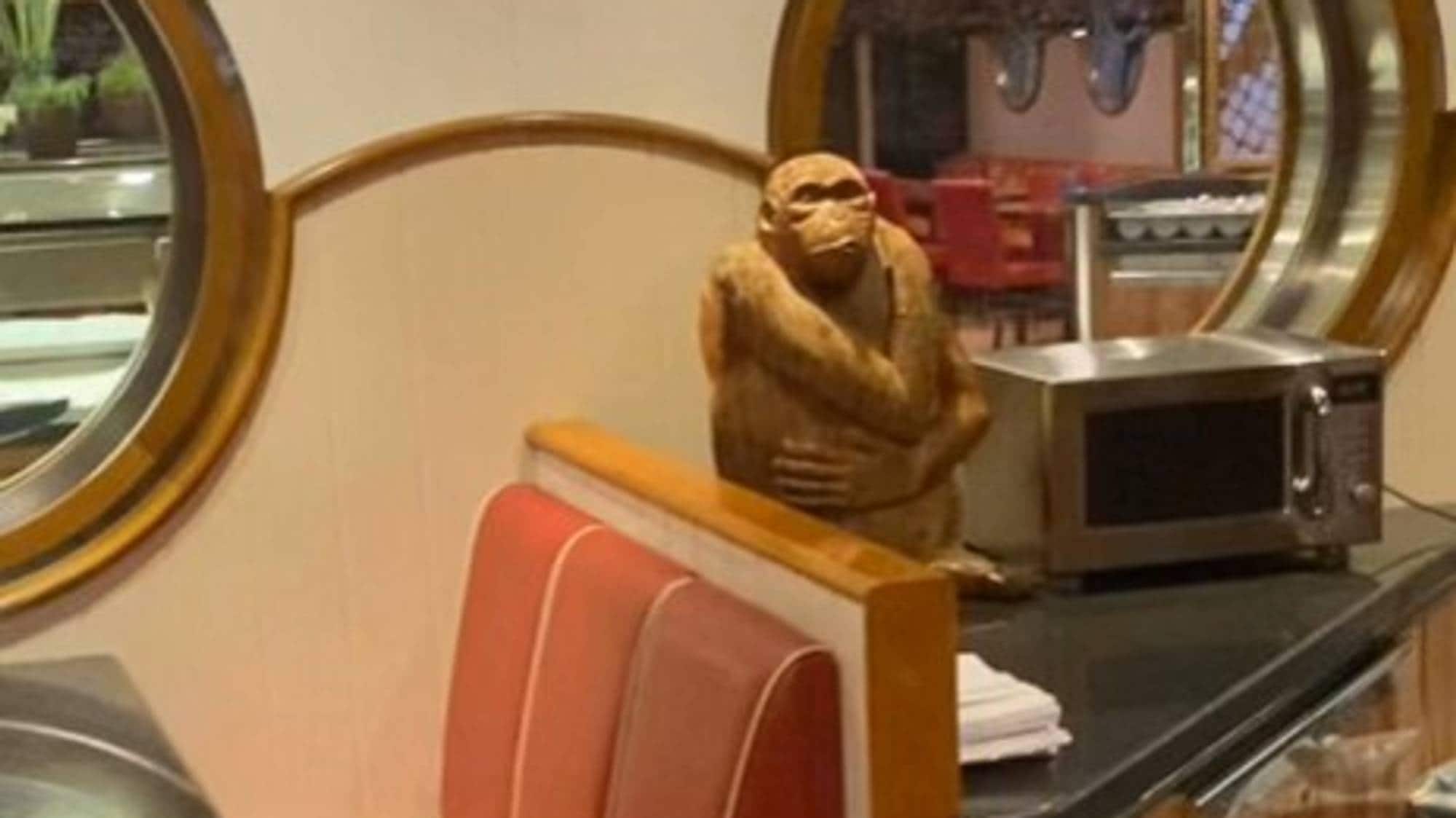 Ingen nye spor etter «Julius» – NRK Sørlandet – Lokale nyheter, TV og radio