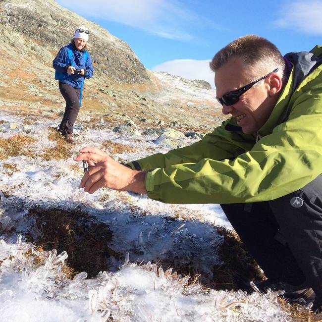 Hattifnatter samlet på høstfjellet – Yr
