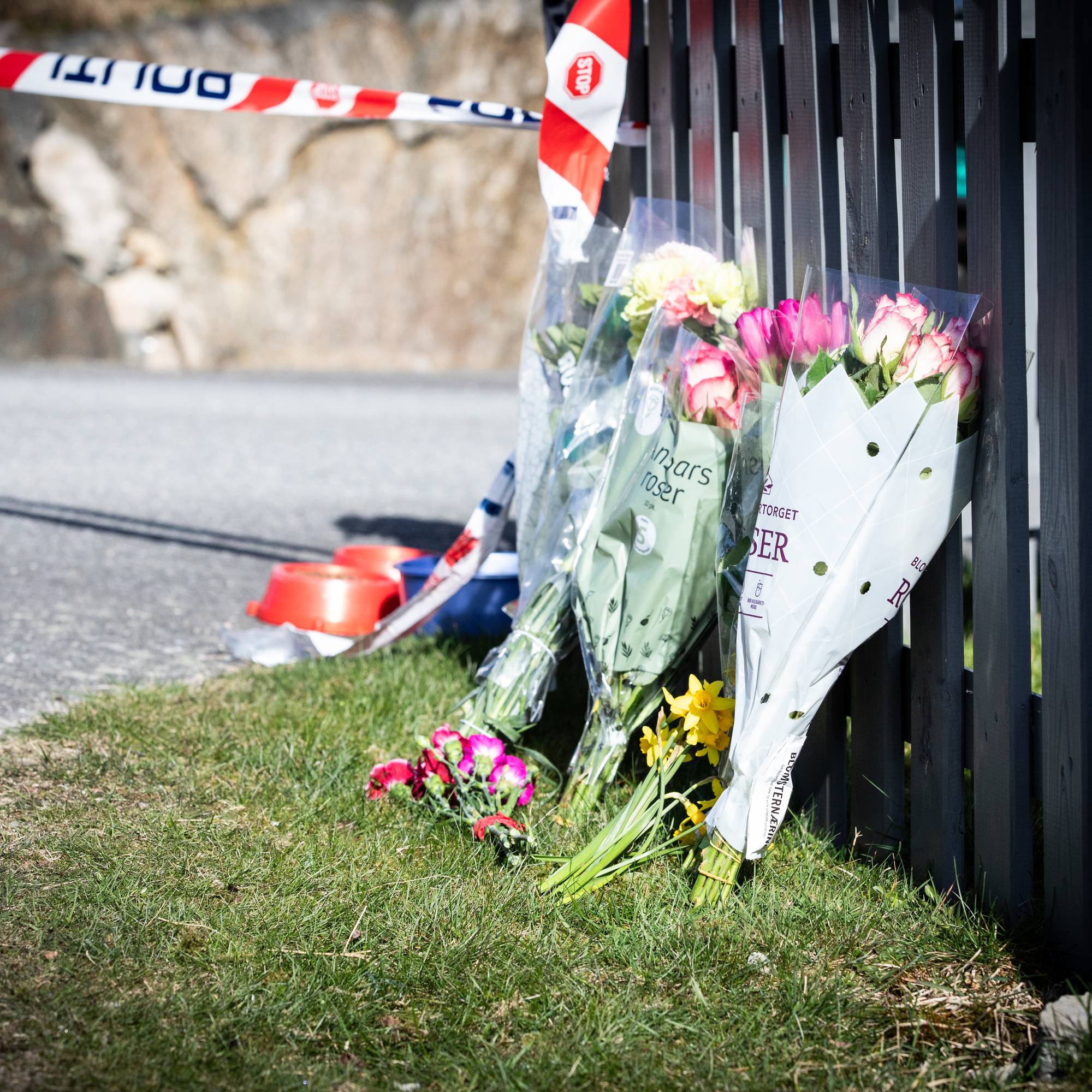 Dobbeltdrapet i Lindesnes: Anne (51) og Elina (17) døde av skuddskader ...