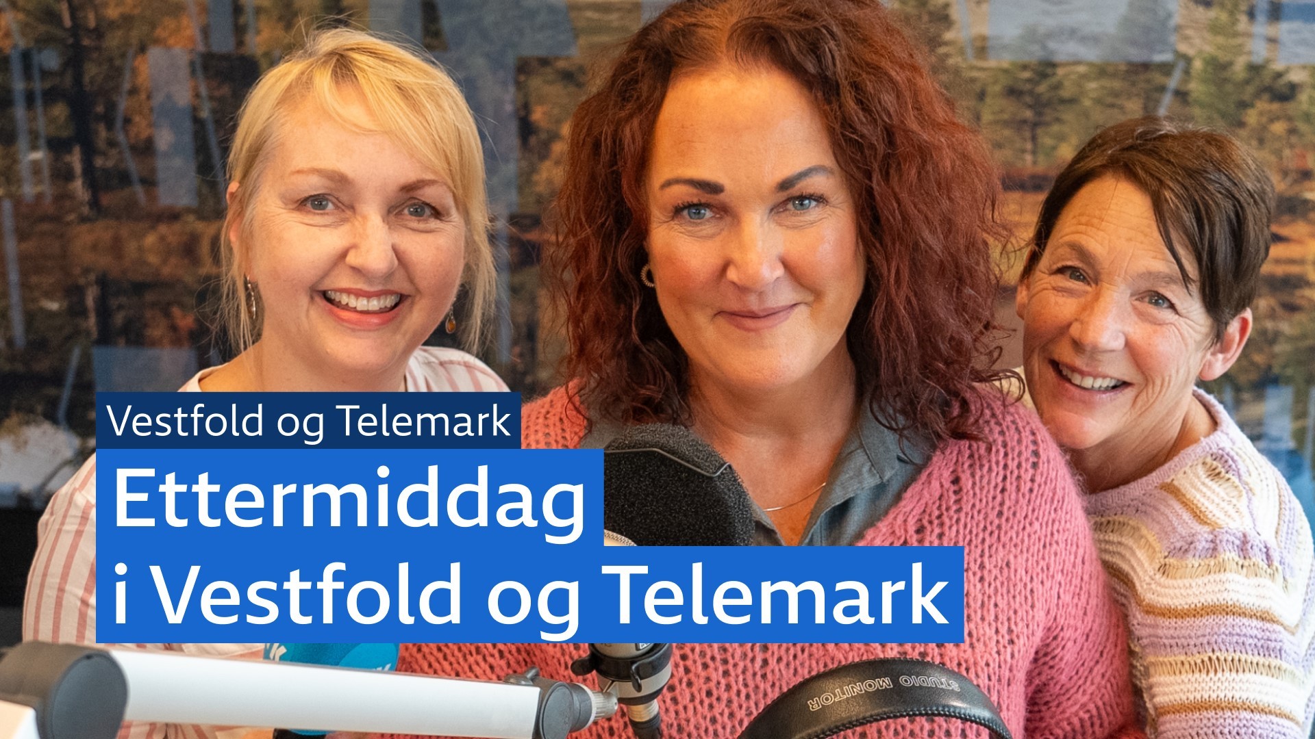 Ettermiddag I Vestfold Og Telemark Distriktsprogram Vestfold Og