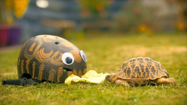 NRK Super - Olga da Polga - åarjelsaemiengïelesne