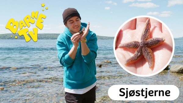 NRK Super - Barne-TV