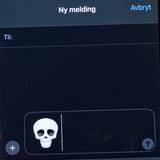 Generasjon Alfas hemmelige språk: Mener emoji-mobbing bidrar til angst ...