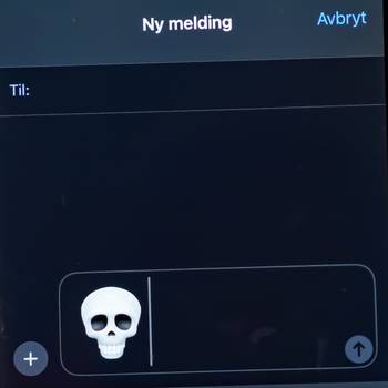 Generasjon Alfas hemmelige språk: Mener emoji-mobbing bidrar til angst ...