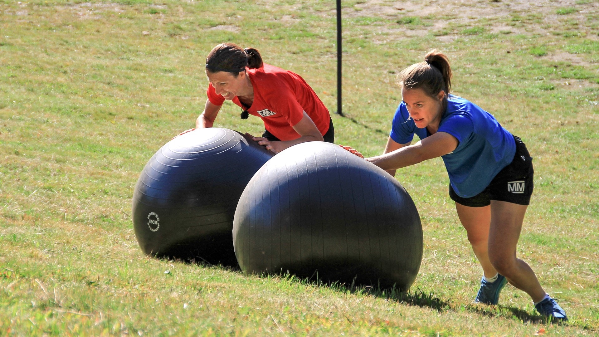 Mesternes mester - NRK TV