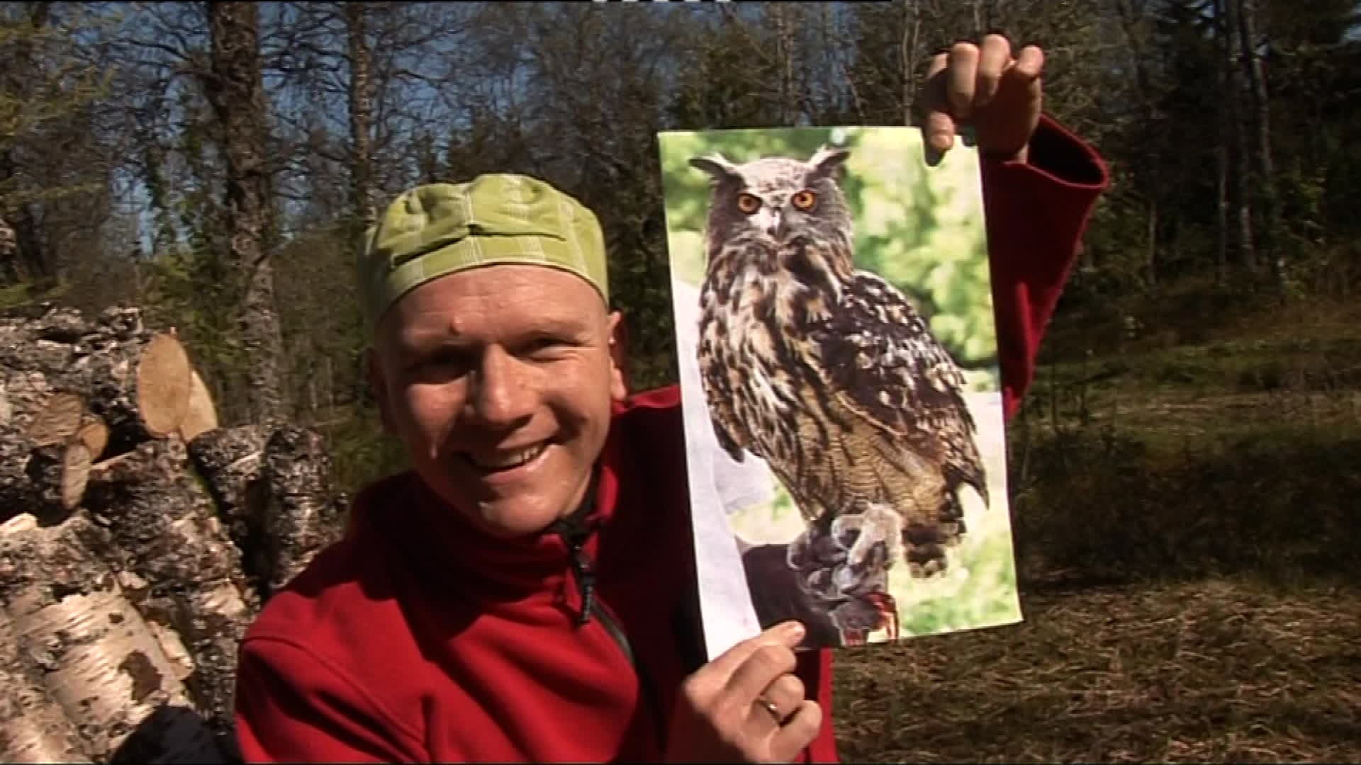 Ugler i mosen - NRK TV