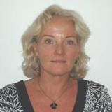 Eksperiment: Erter metter mer enn kjøtt – NRK Viten – Nyheter innen ...