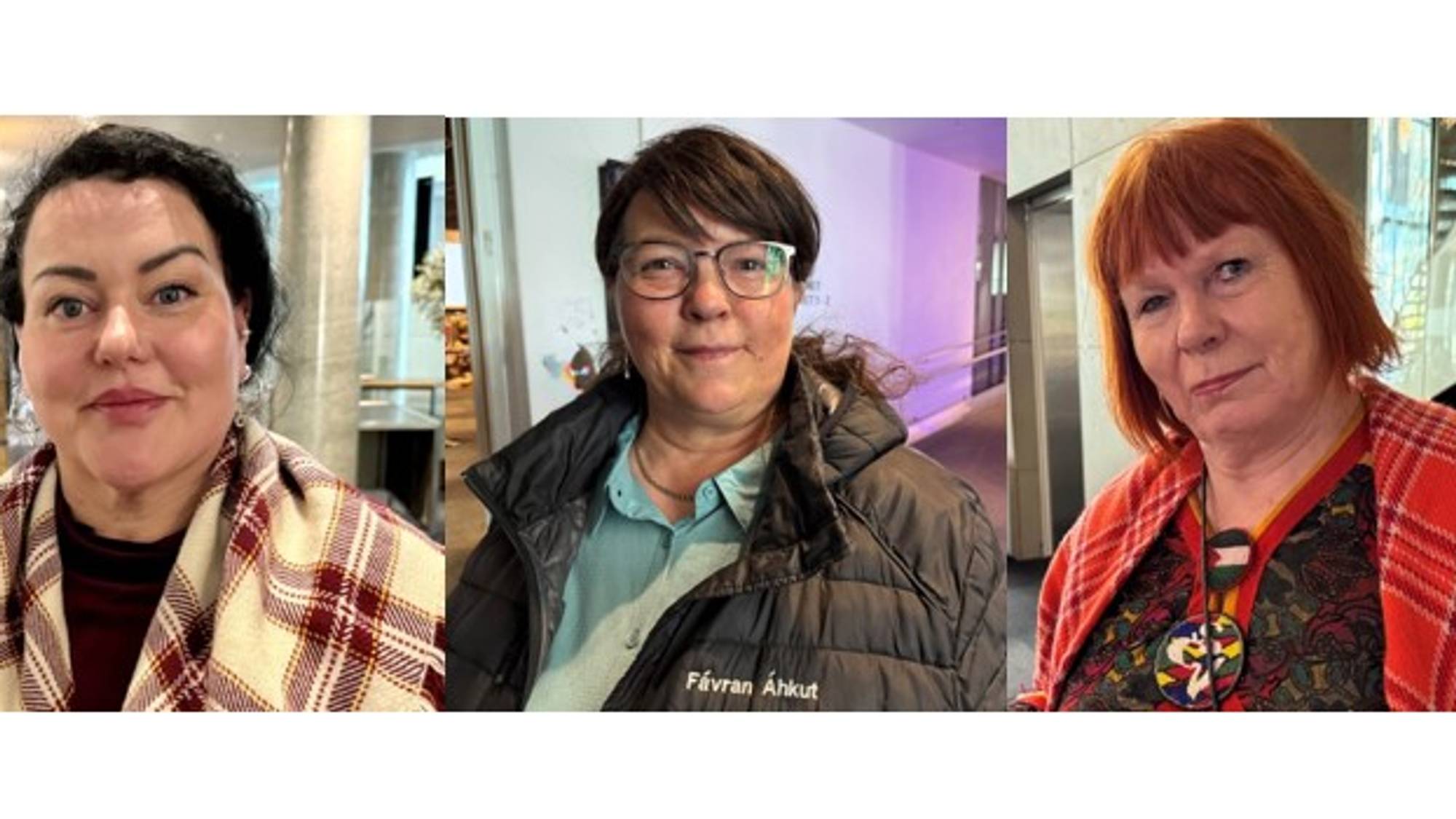 Oslo kommune har fått samiske navn: Osloven tjïelte og Oslo suohkan ...