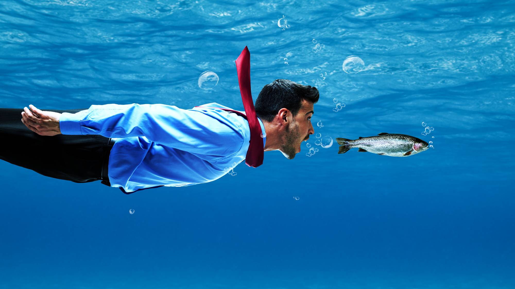 Vi spiser feil fisk – Ytring