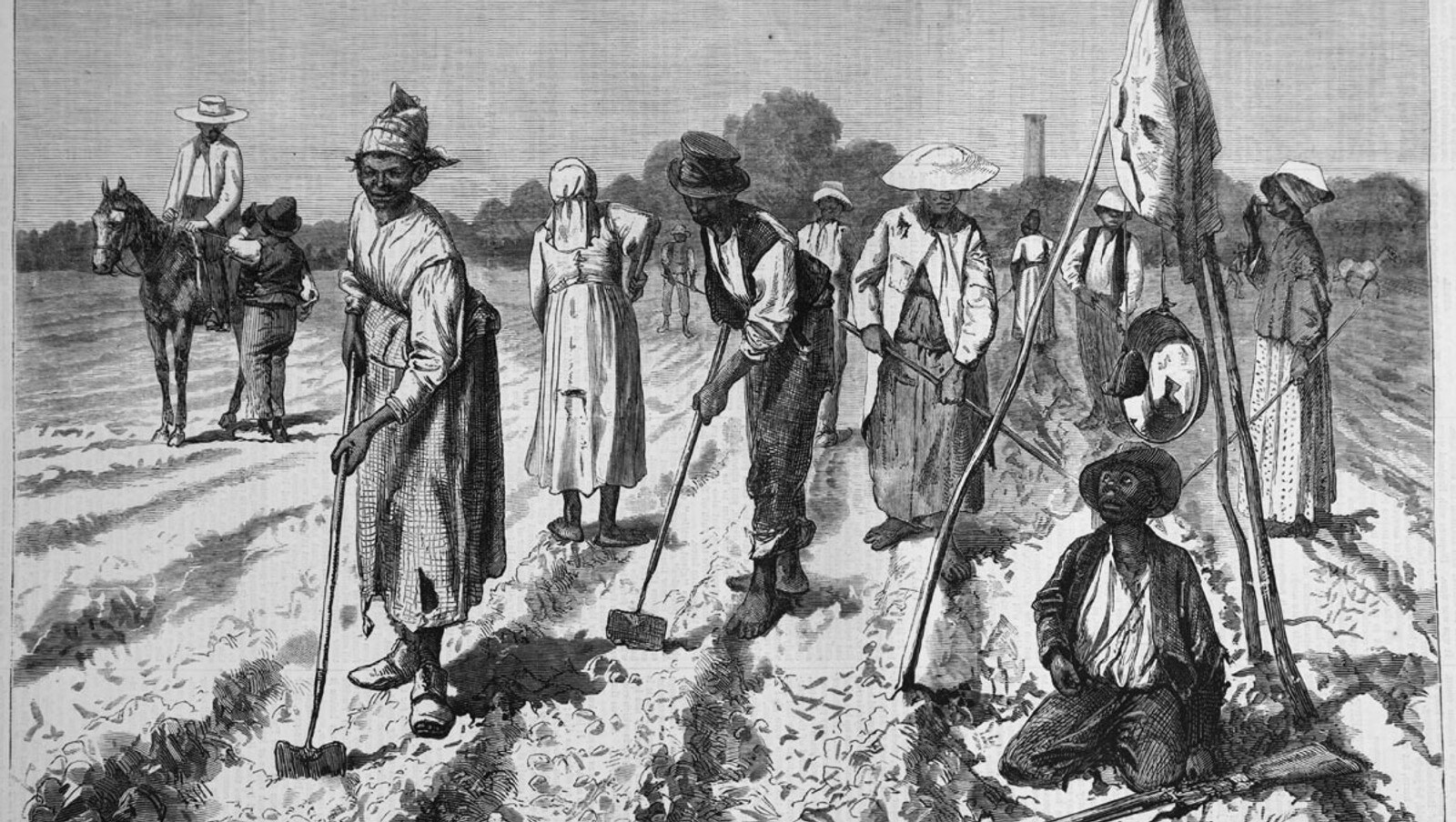 Krever slaveri-erstatning fra Norge – NRK Urix – Utenriksnyheter og ...