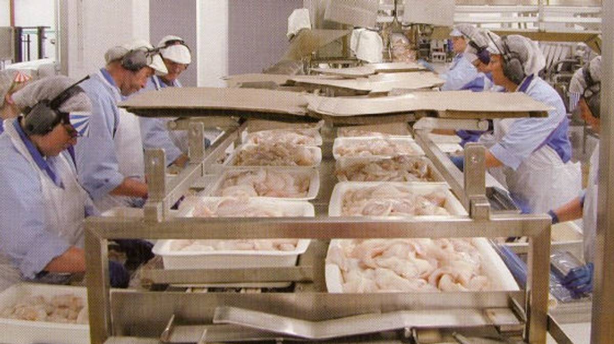 Slutter med saltfisk – NRK Troms og Finnmark