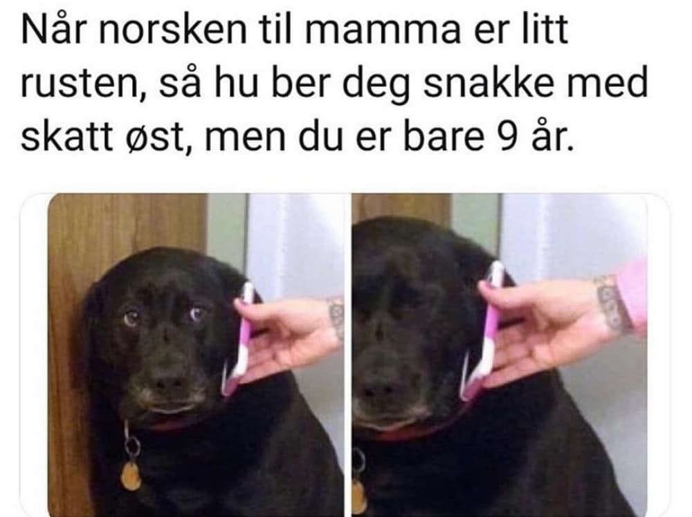 Meme­-verden: Spiderman, Wojak og søte katter skaper en revolusjon på ...